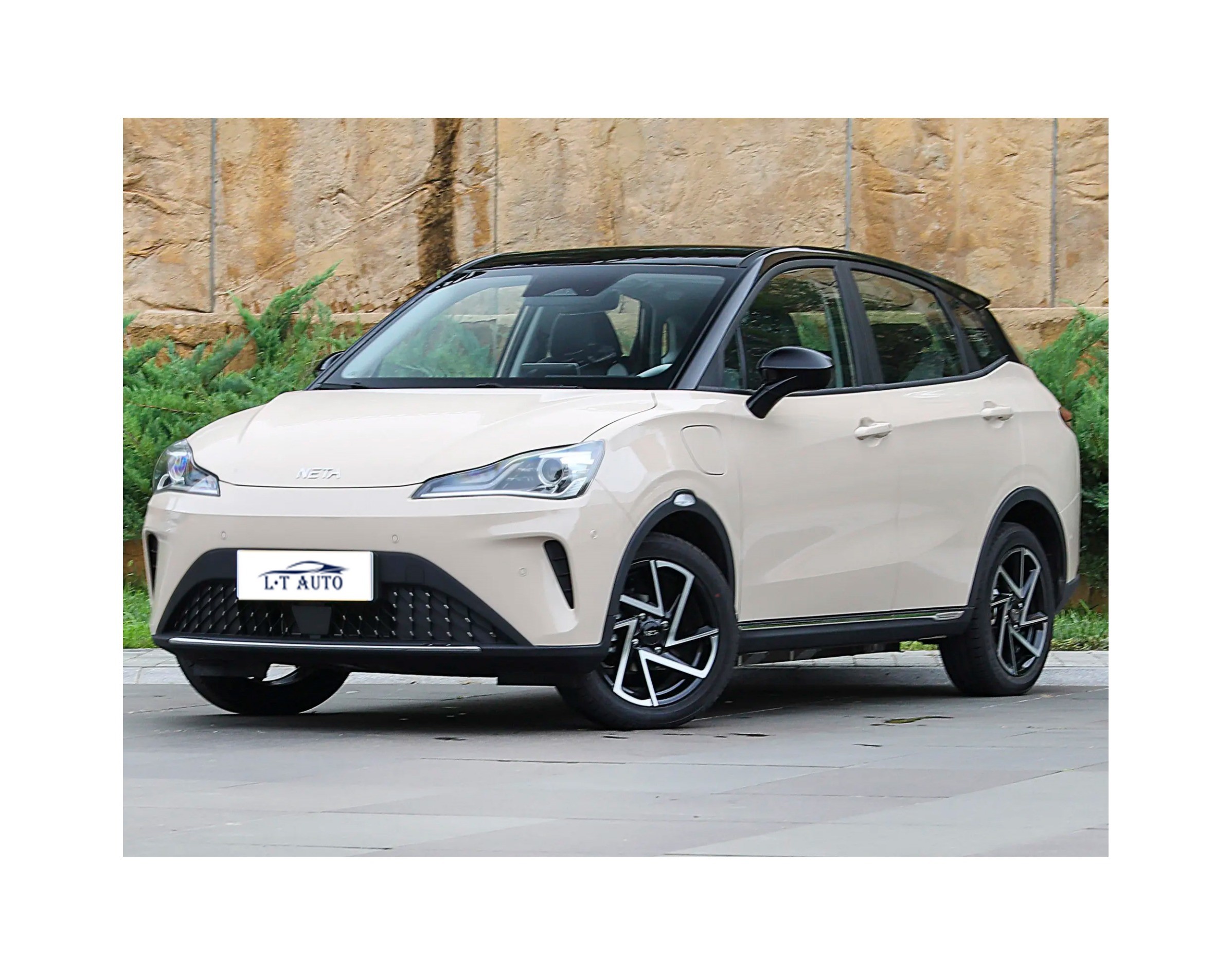 Hozon NETA AYA Pure Electric Energy Vehicle with Multiple Colors